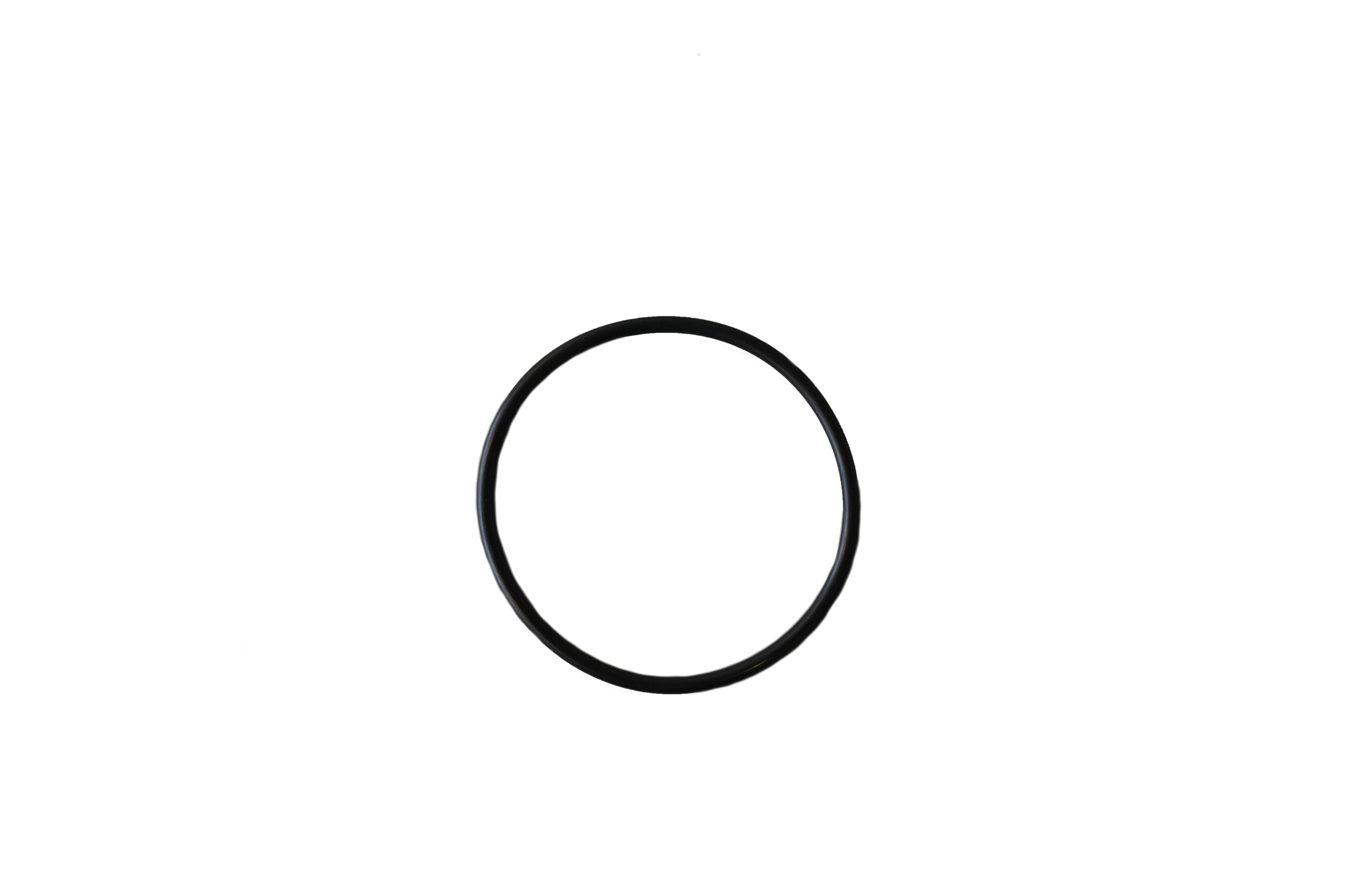 O Ring RO Sump Lower Old Style (EXCALIBUR REPAIR PART) – Shop ...